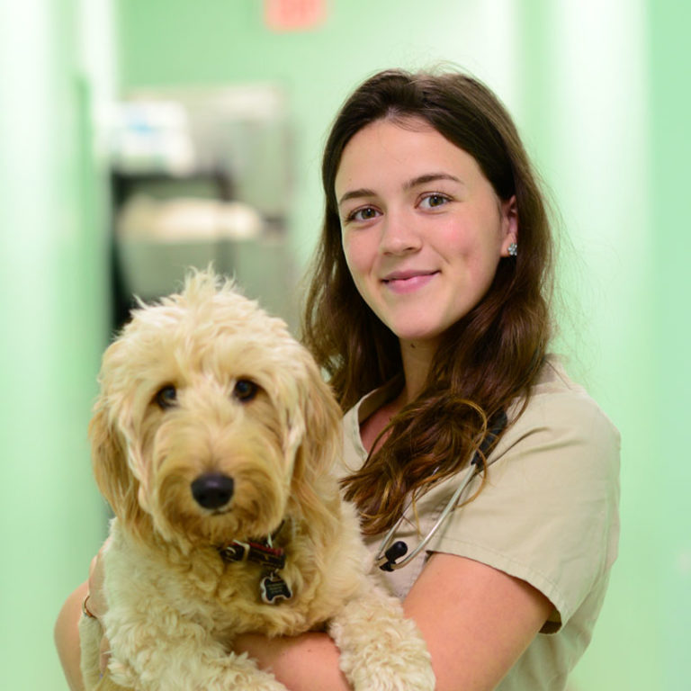 Marie A. - Best Vet Animal Hospital